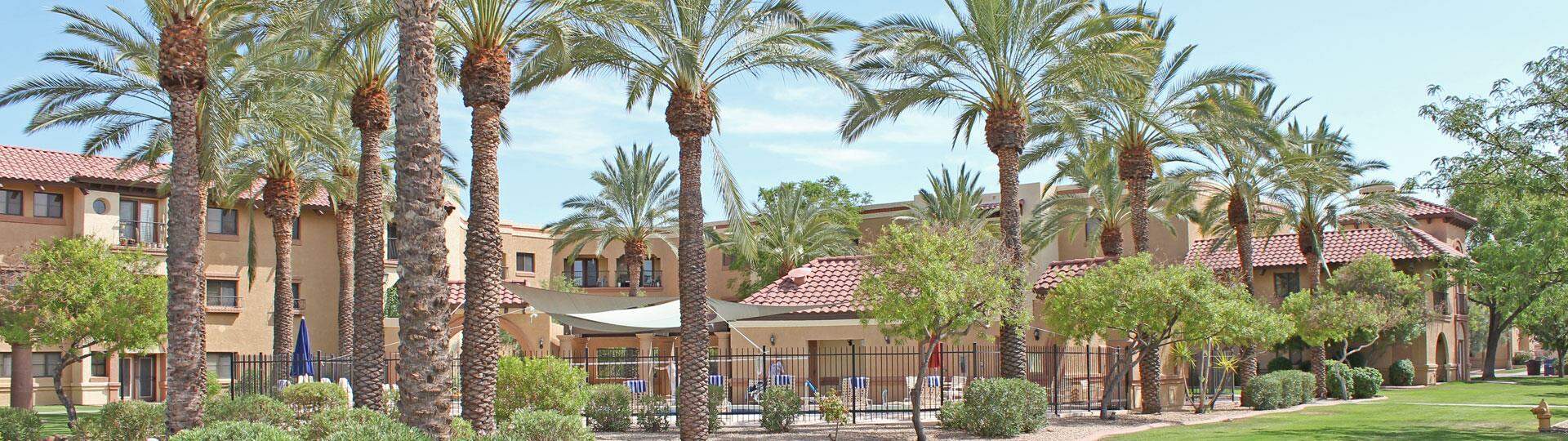 The Forum at Desert Harbor | Peoria | LivingPath